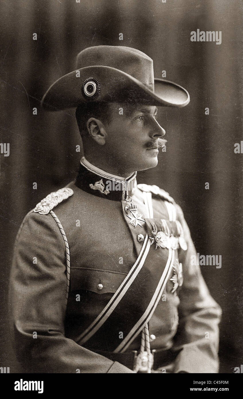 Duke Of Mecklenburg High Resolution Stock Photography and Images - Alamy