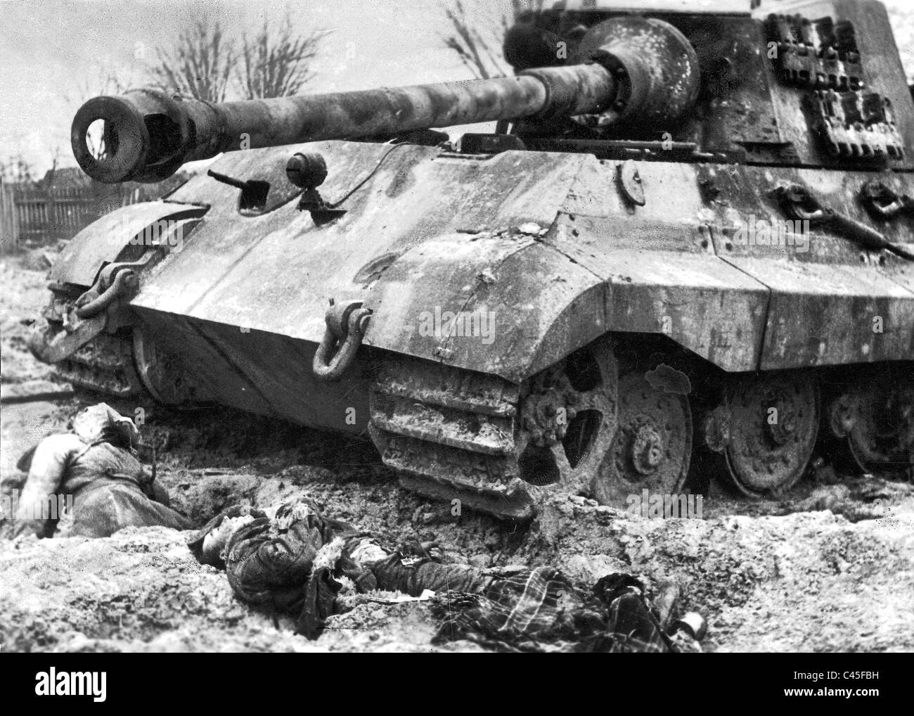 Ww2 German King Tiger Tanks