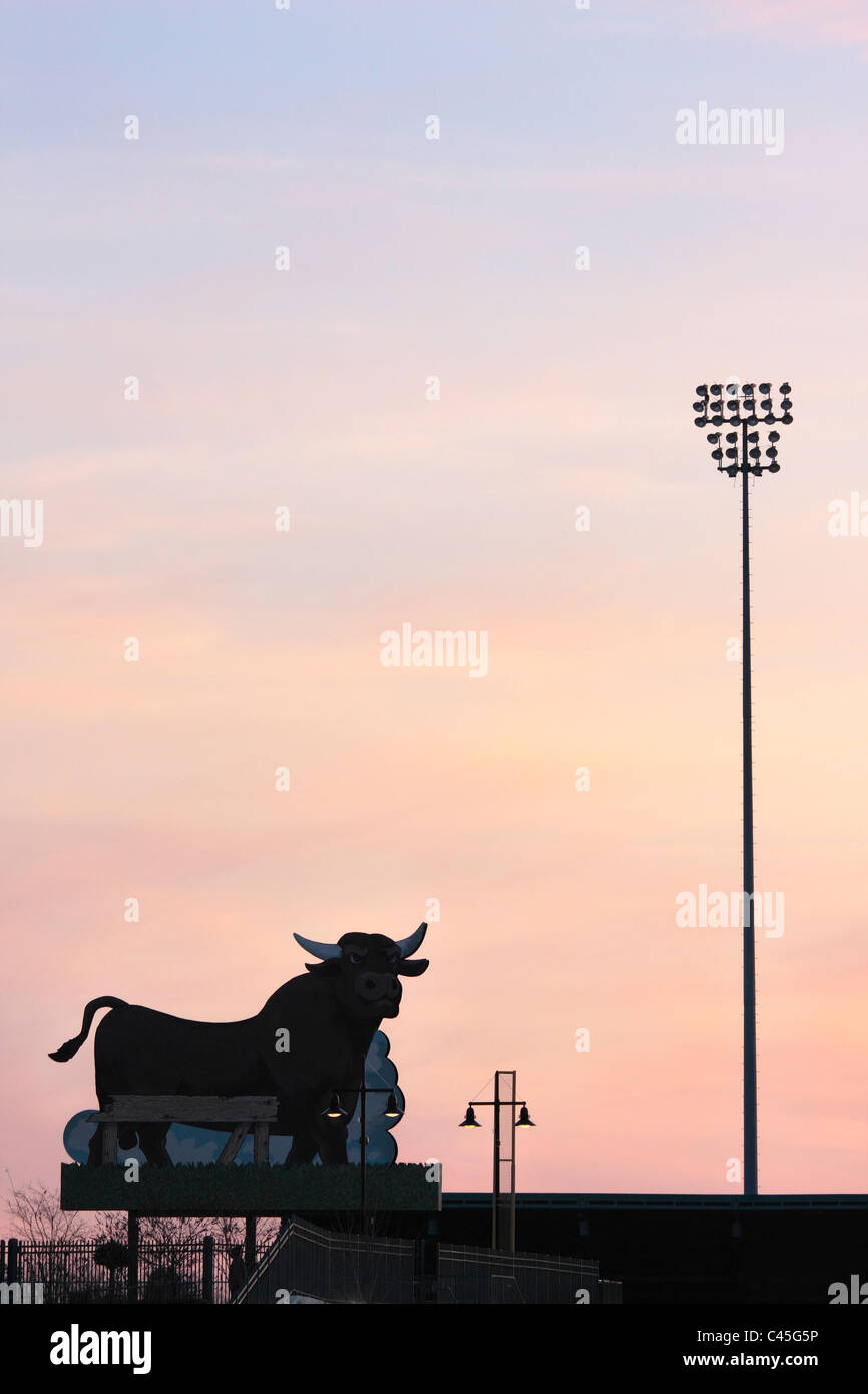 Durham Bulls Athletic Park, home of the Class AAA Durham Bulls baseball ...