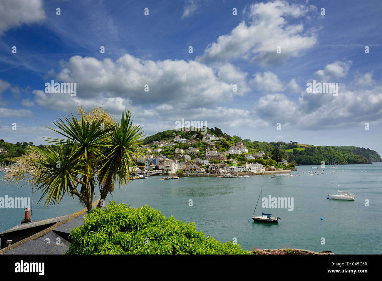 looking across to kingswear from dartmouth with rooftop palm tree in ...