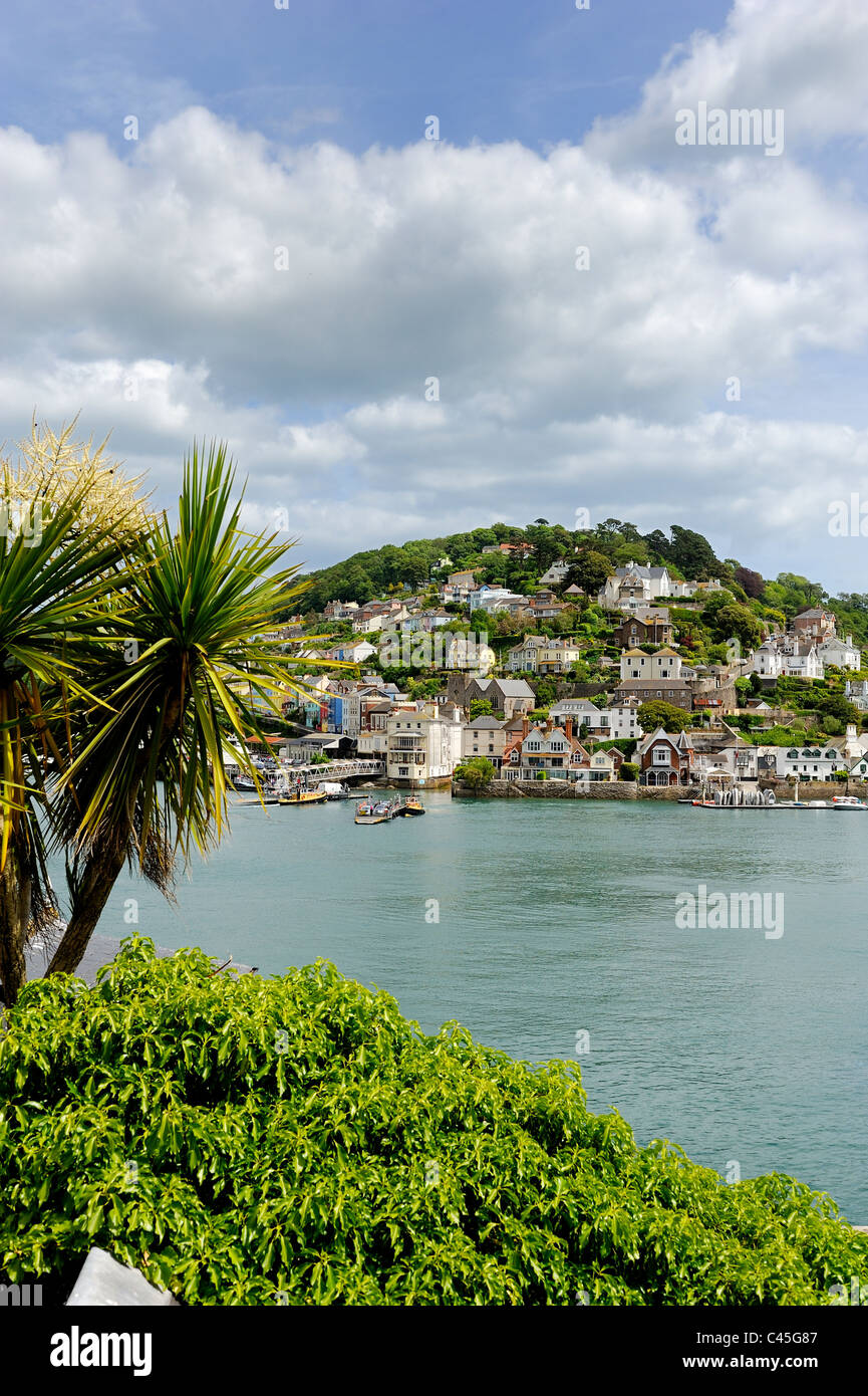 looking across to kingswear from dartmouth with rooftop palm tree in ...