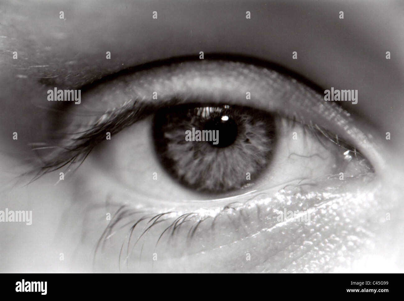 The image shows a macro of one eye with a light spot in it Stock Photo ...