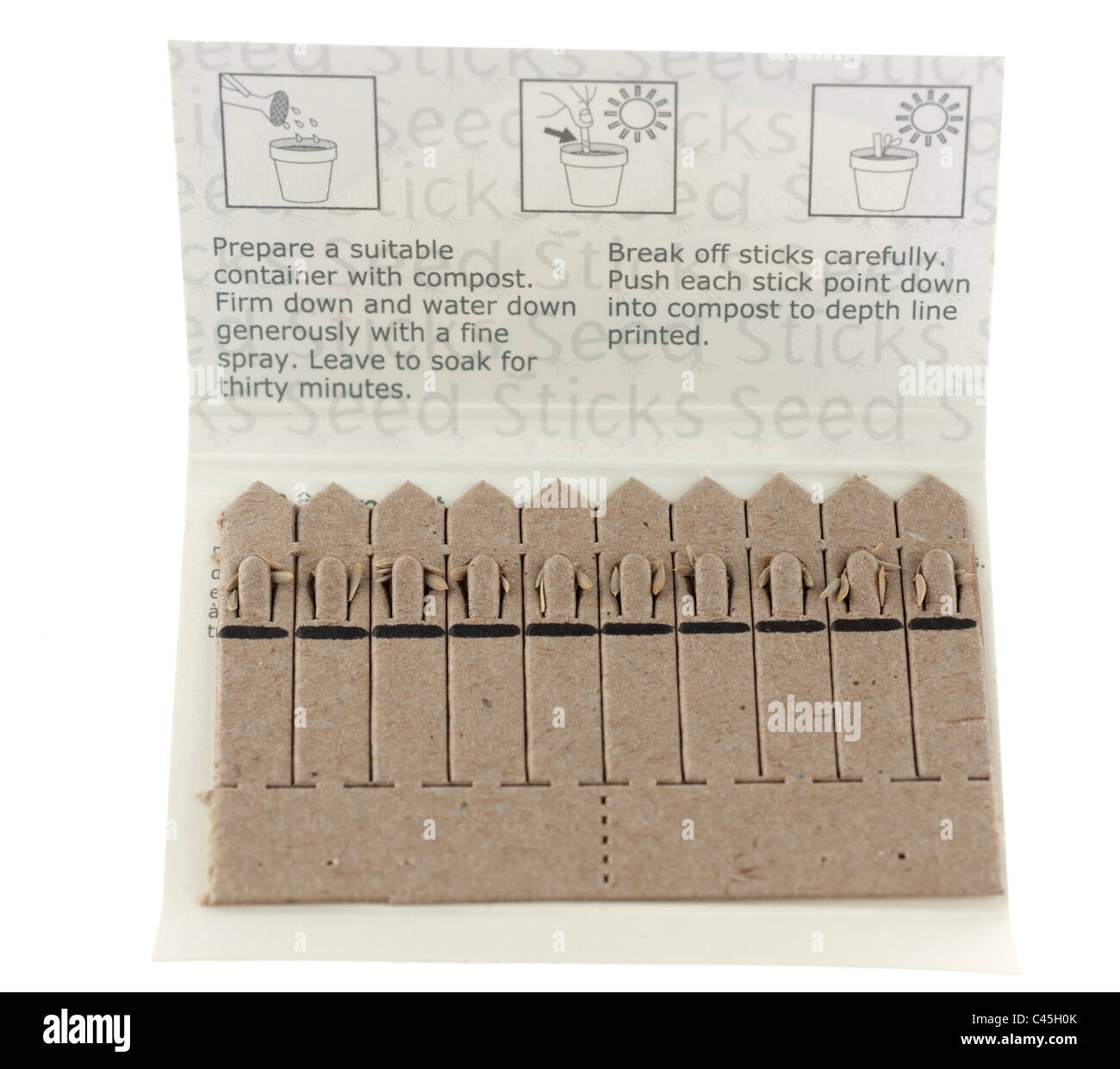 Instructions on how to plant on seed sticks of Little Gem lettuce Stock ...