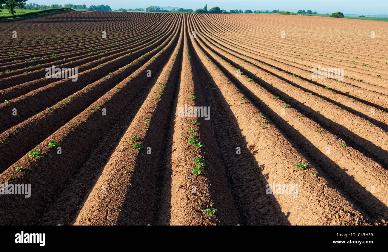 Ridge and furrow hi-res stock photography and images - Alamy