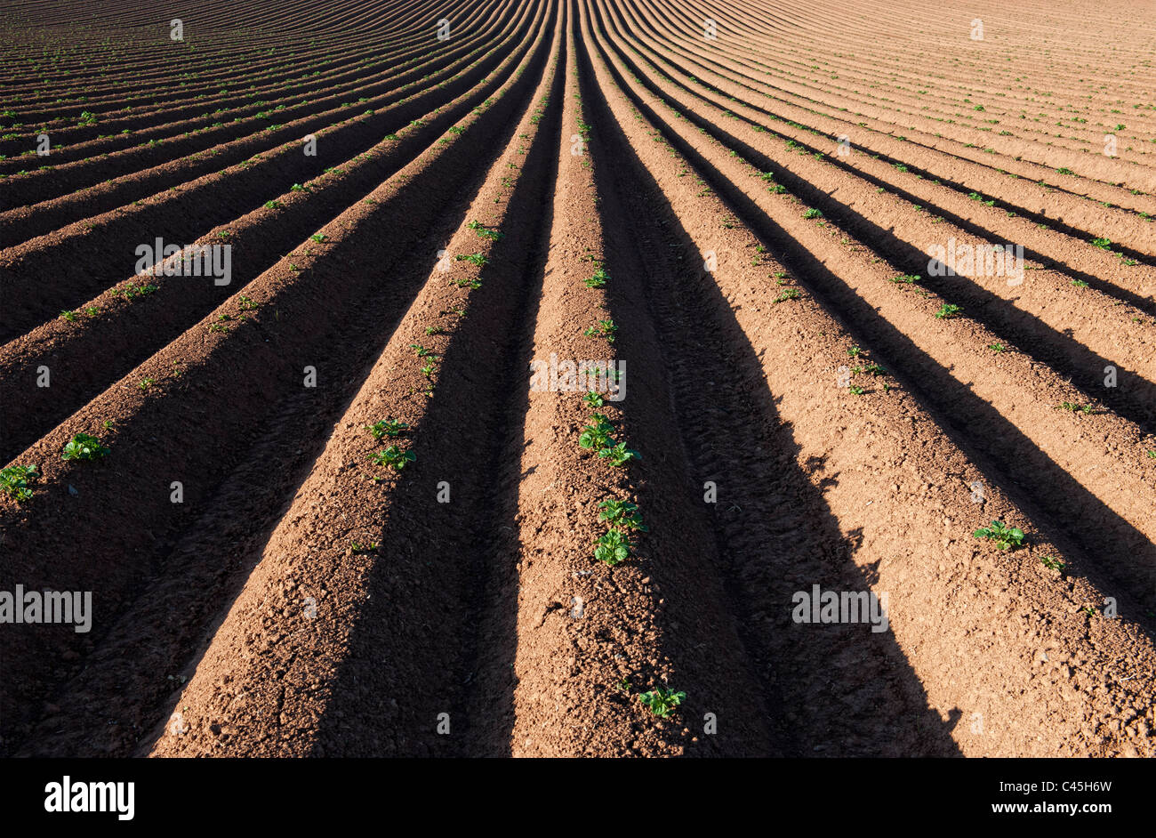 Ploughed field hi-res stock photography and images - Alamy