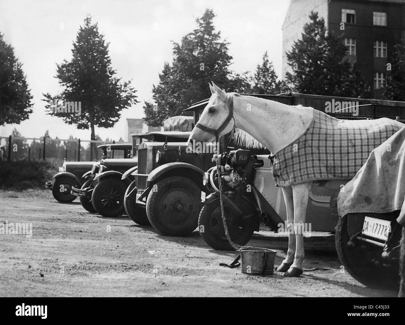 Horse and car in parking lot hi-res stock photography and images - Alamy