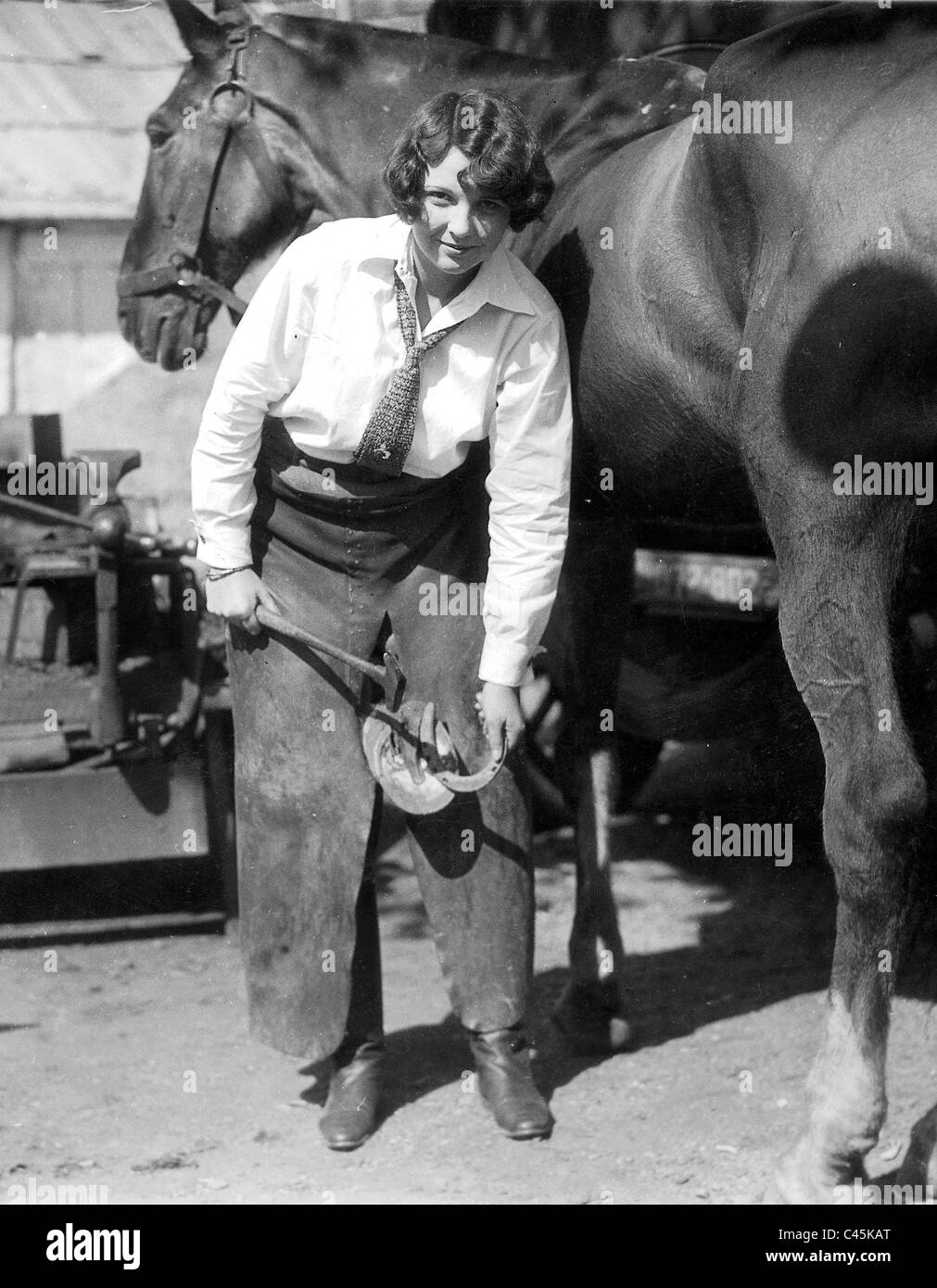 Female farrier horse hi-res stock photography and images - Alamy