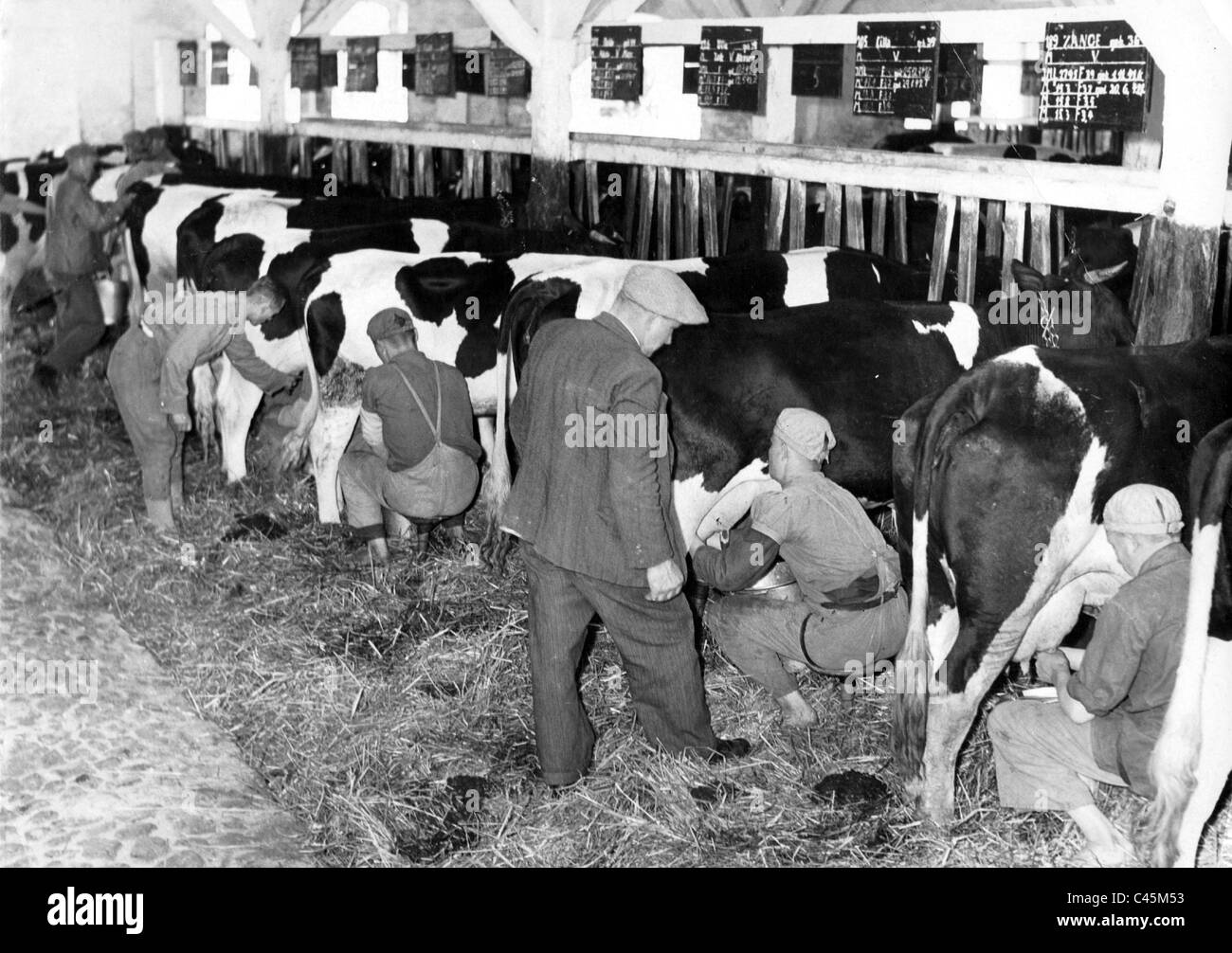 Europe 1942 Black and White Stock Photos & Images - Alamy
