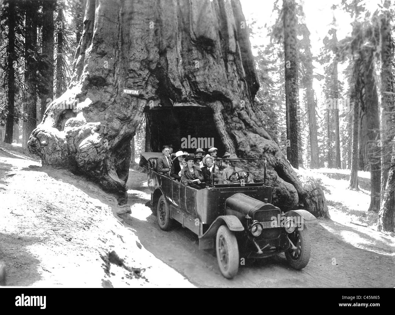 Group of tourists in an American National Park, 1927 Stock Photo - Alamy