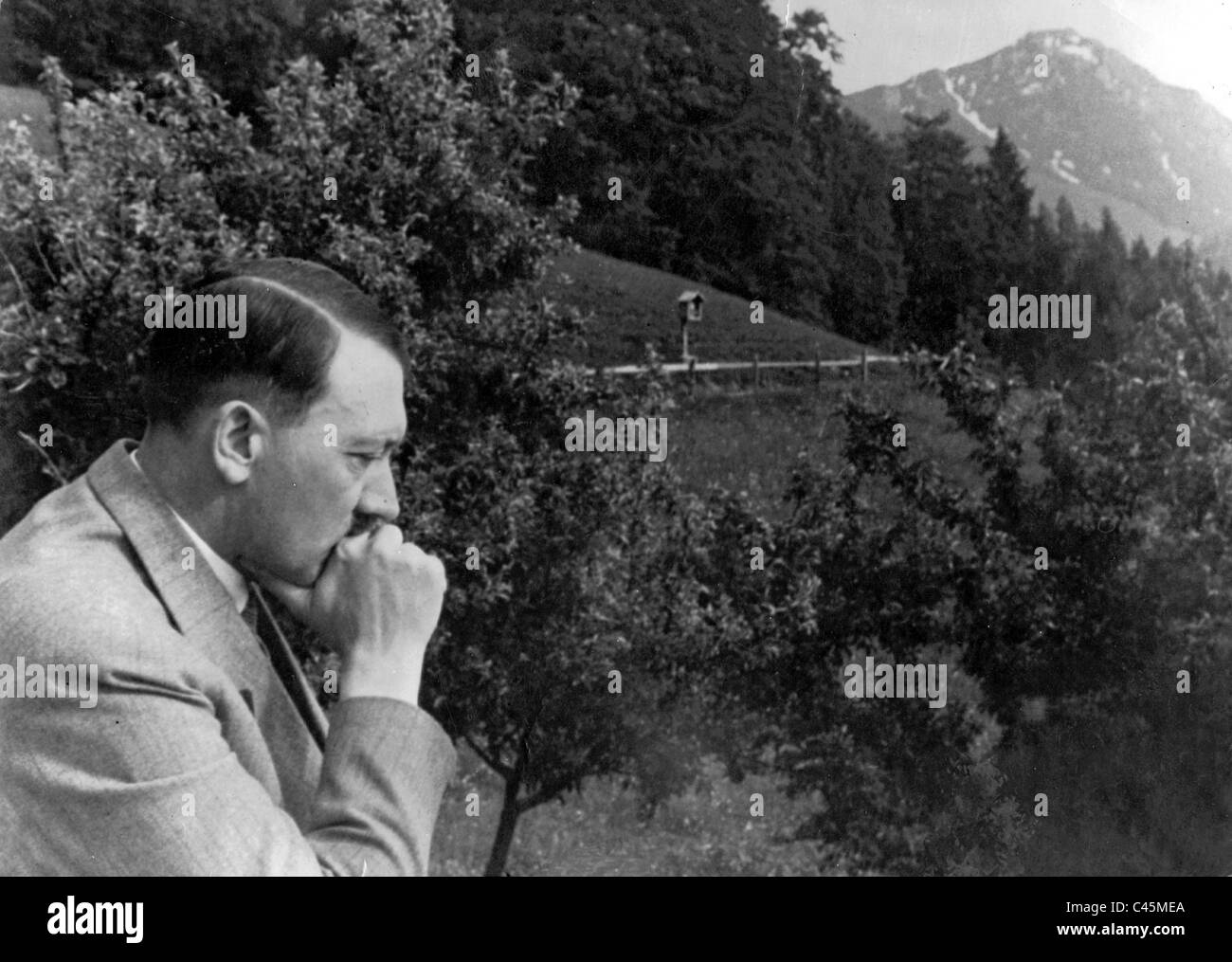 Hitler 1935 portrait hi-res stock photography and images - Alamy