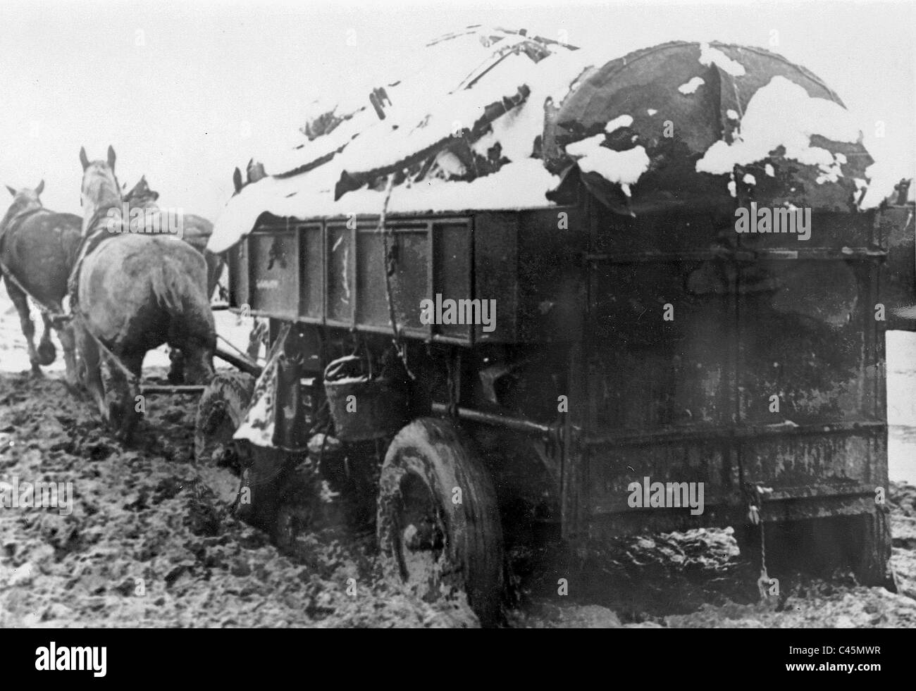 Horse wagons of the Wehrmacht on the Eastern Front, 1941 Stock Photo ...