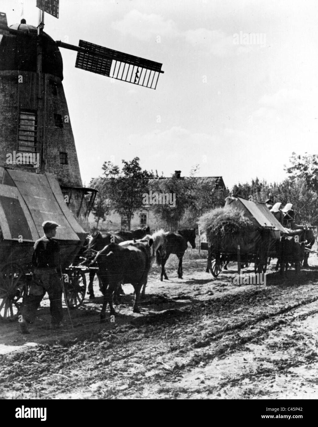 German-Russians fleeing from the Red Army Stock Photo - Alamy