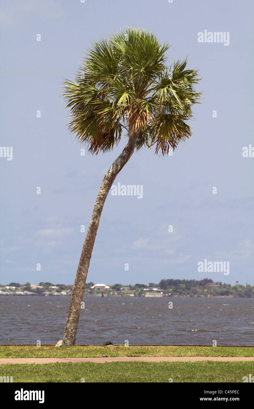 Stuart florida st lucie river hi-res stock photography and images - Alamy