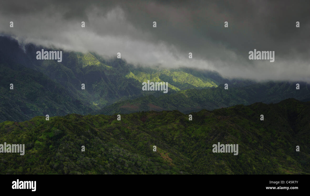 Hawaii mountain fog hi-res stock photography and images - Alamy
