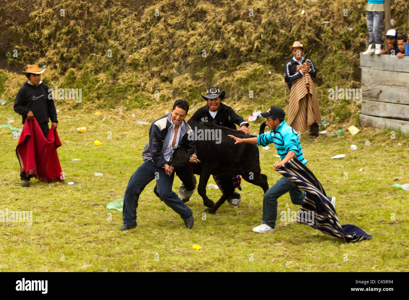 LLOA ECUADOR 29 MAY 2011 VERY POPULAR BULL FIGHTING GAMES WHERE ...