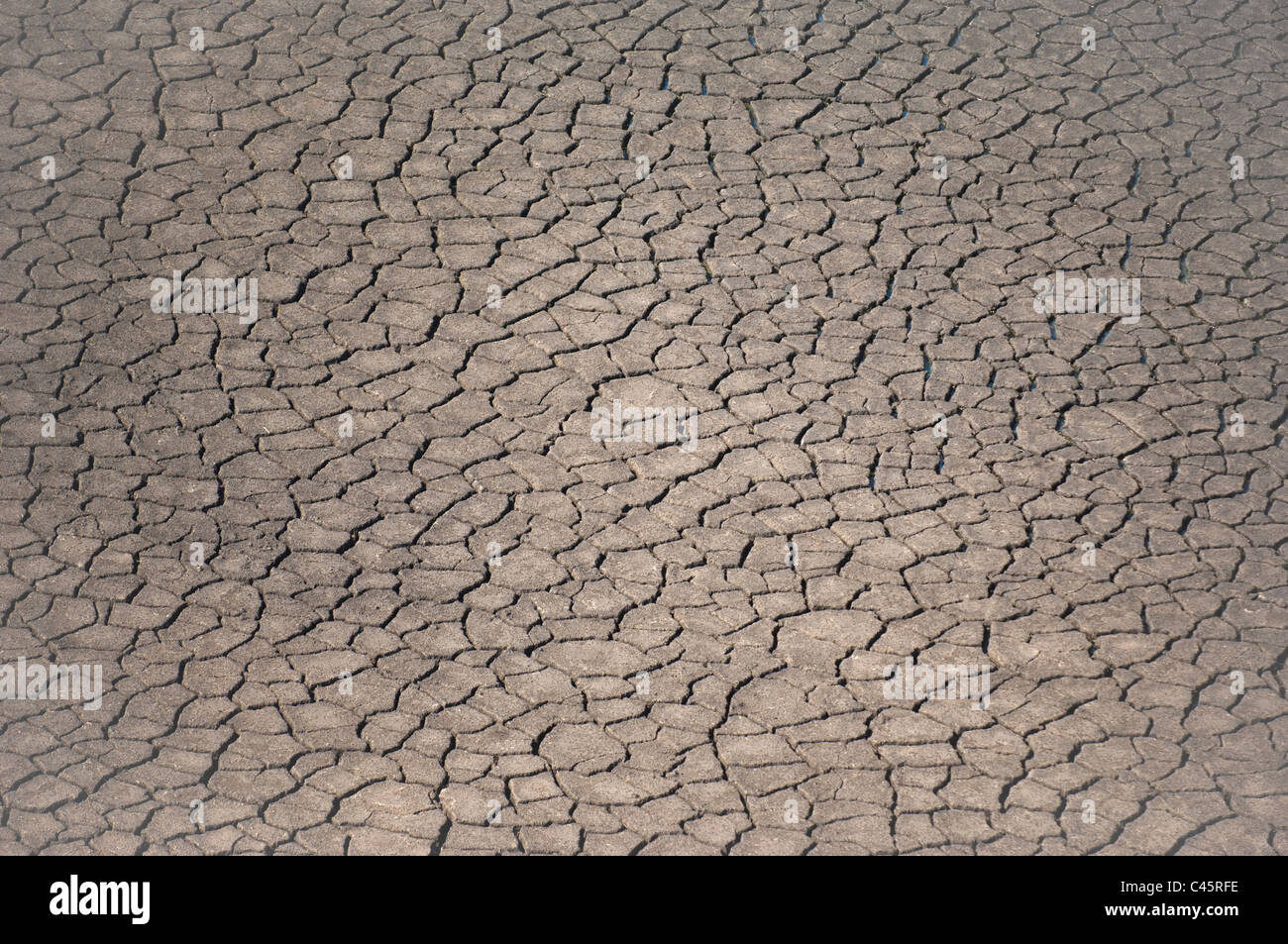 Drying earth hi-res stock photography and images - Alamy
