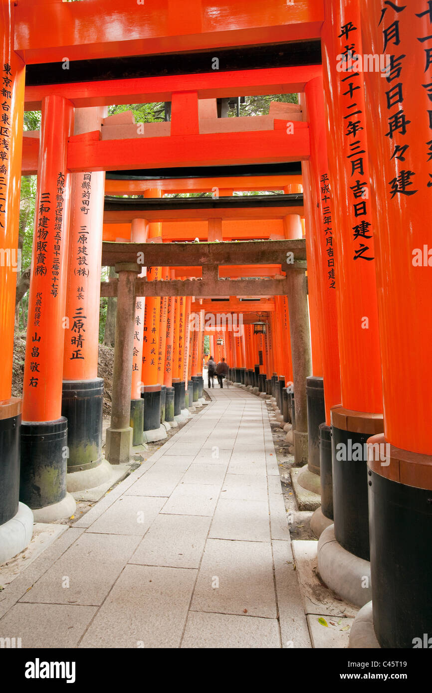 Torii pathway walkway hi-res stock photography and images - Alamy