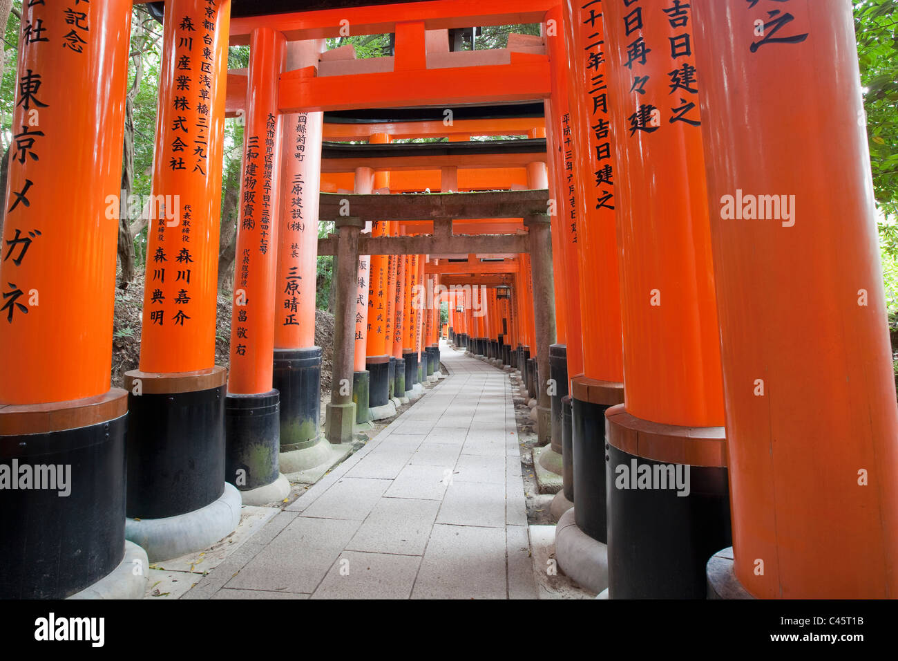Orange torii gates line the pathway at Fushimi-Inari Taisha shrine in ...