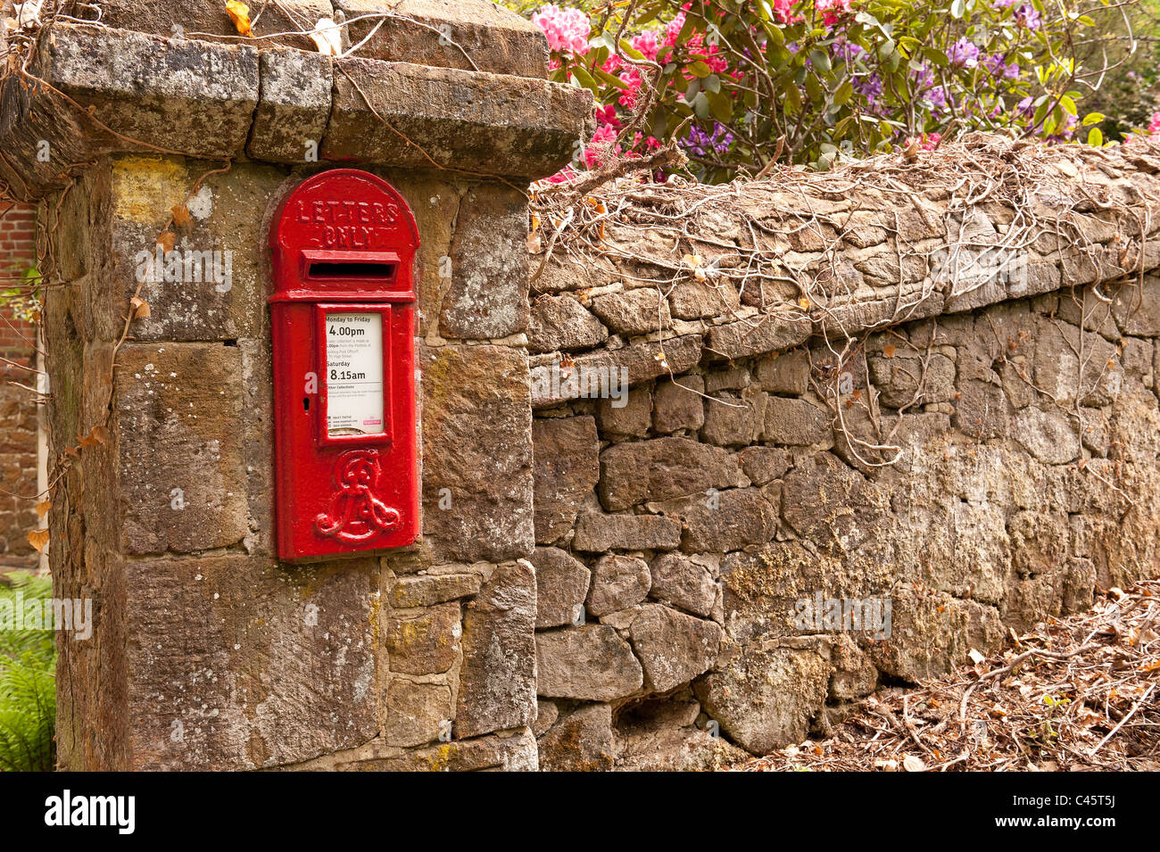 Friday Street Post Box in a rural country lane, too small so not much ...