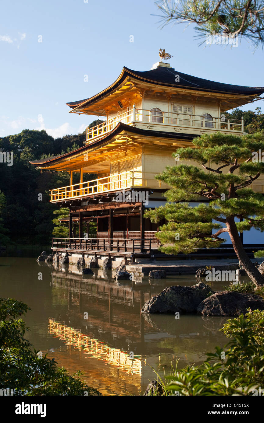 Kinkaku-ji, the Golden Pavilion, in autumn in Kyoto, Japan Stock Photo ...