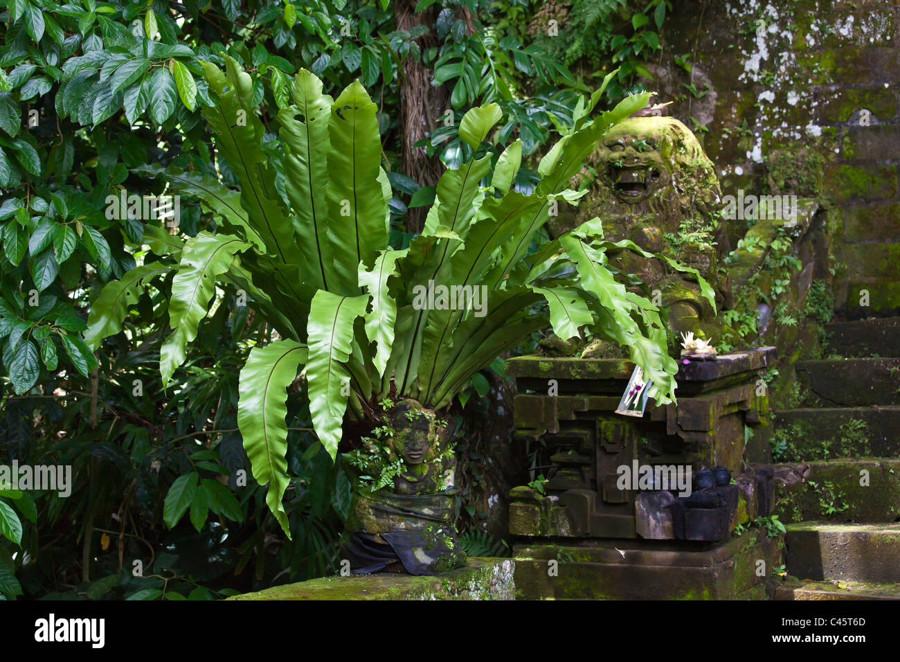 Plants grow on the Hindu temple of PURA TAMAN SARASWATI - UBUD, BALI ...
