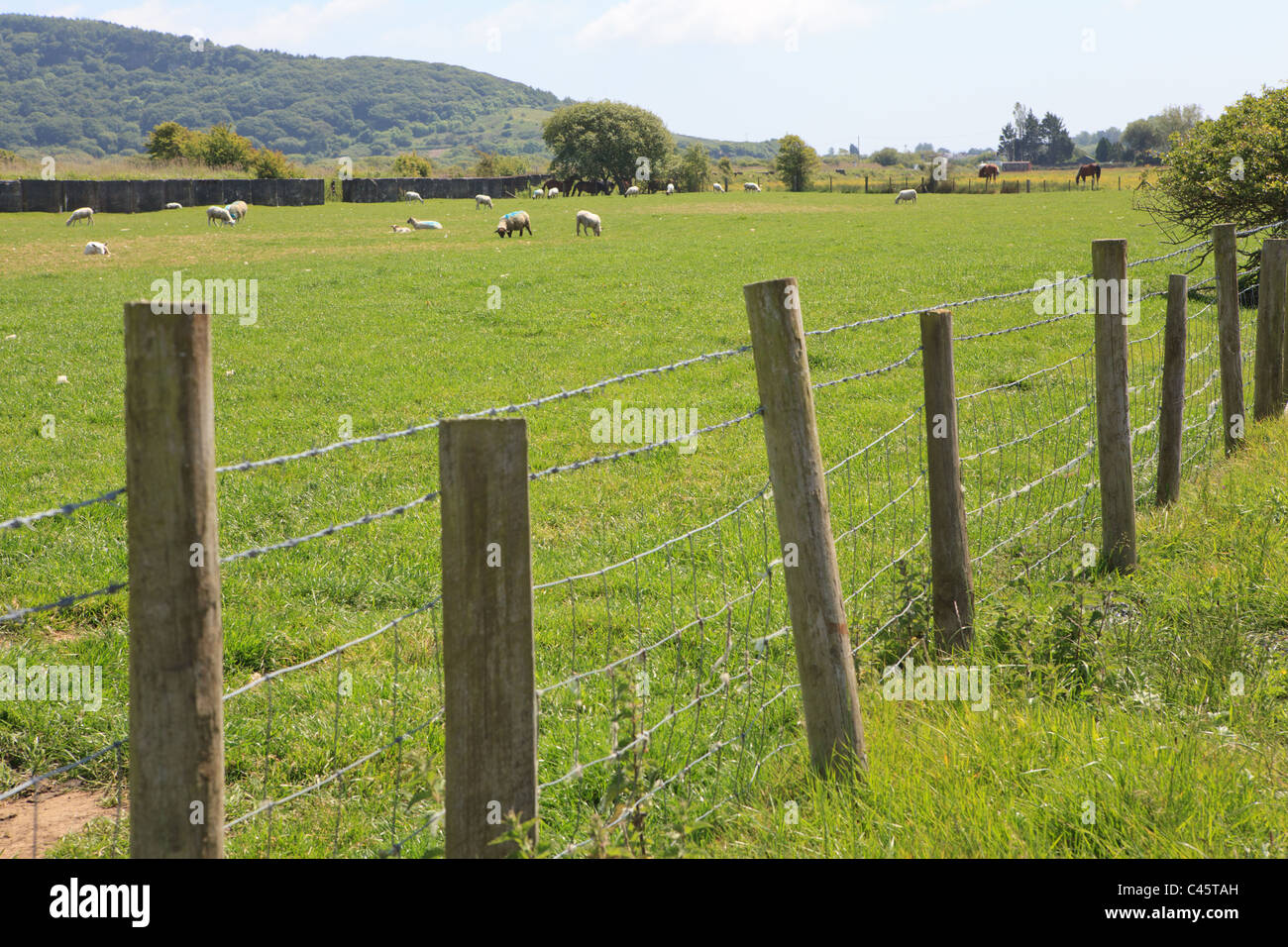 Pembrey wales hi-res stock photography and images - Alamy