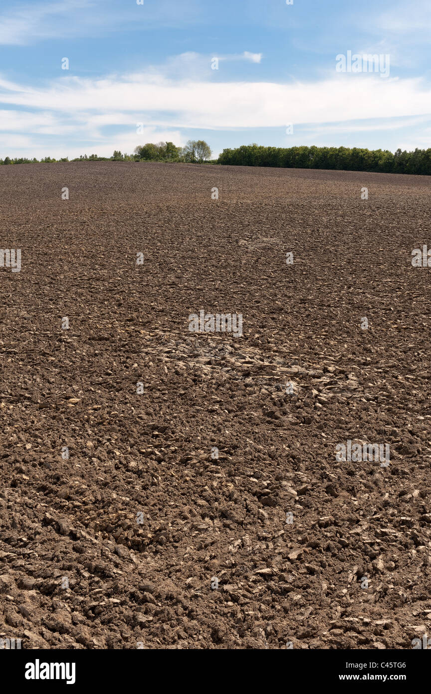 Proposed agriculture land to be quarried for building sand, destroy ...