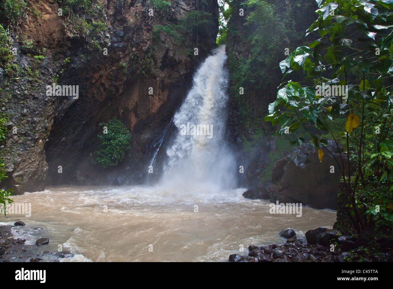 Air terjun singsing hi-res stock photography and images - Alamy