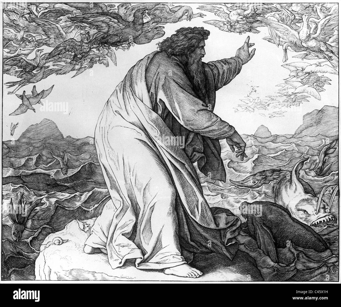 God creation animals hi-res stock photography and images - Alamy