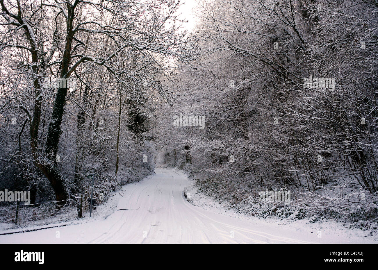 A snowy country road Stock Photo - Alamy