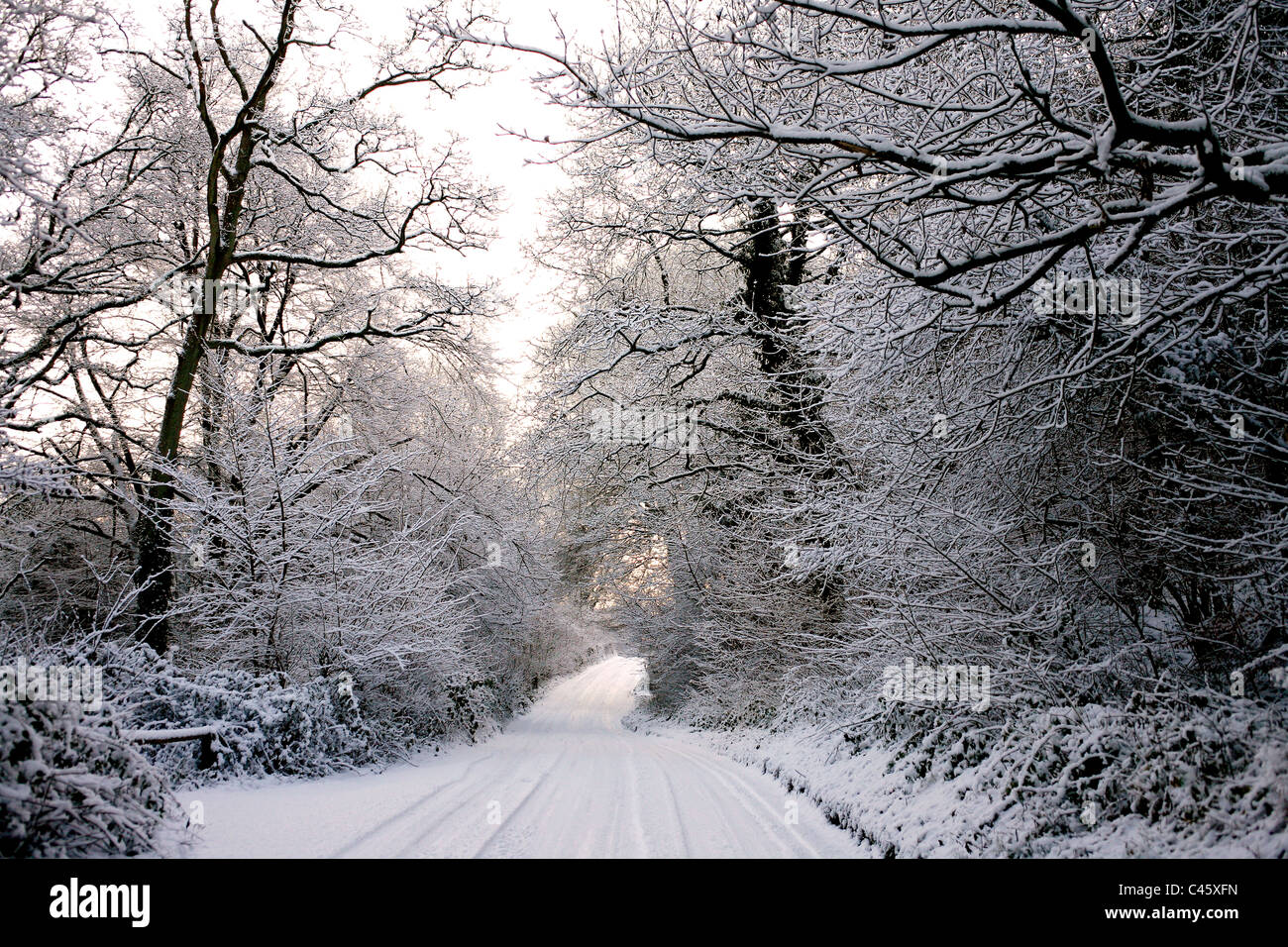 A snowy country road Stock Photo - Alamy