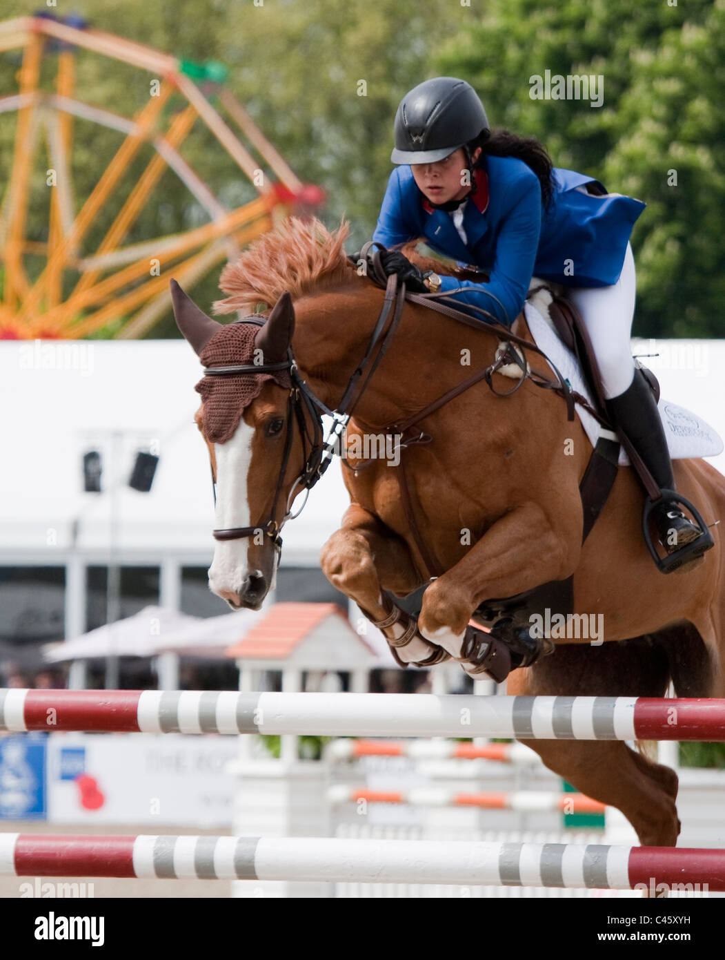 Equestrian horse royalty royal hi-res stock photography and images - Alamy