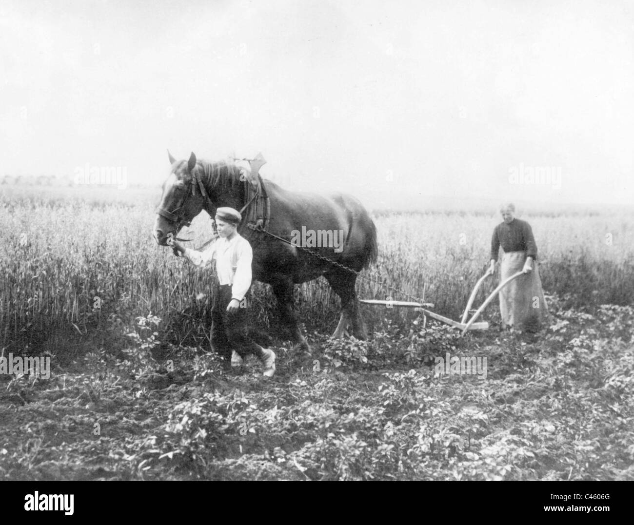 Field work Black and White Stock Photos & Images - Alamy