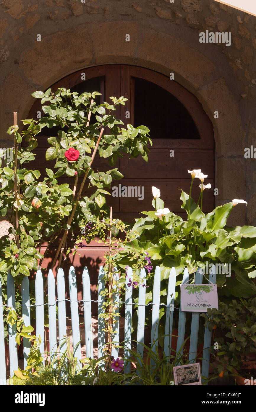 secluded corner against a wall in a sunny garden Stock Photo - Alamy