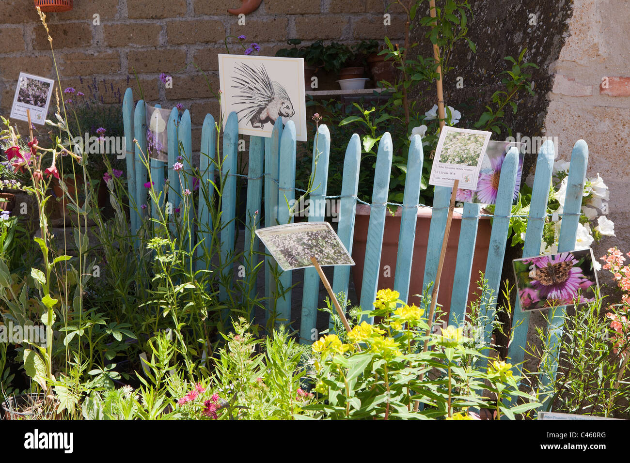 Secluded garden corner hi-res stock photography and images - Alamy