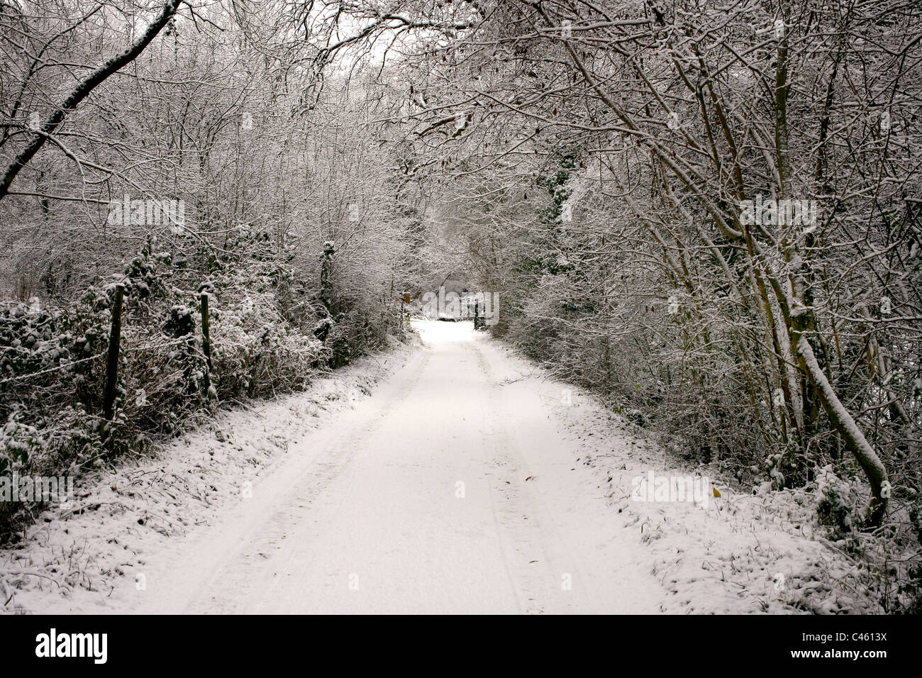 A snowy country road Stock Photo - Alamy