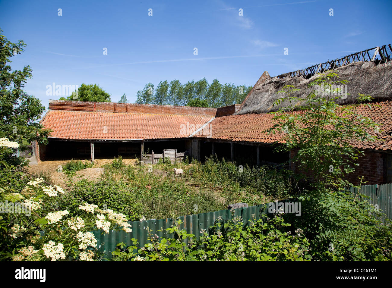 Old Norfolk farm buildings. Almost ruined & collapsing. The main barn ...