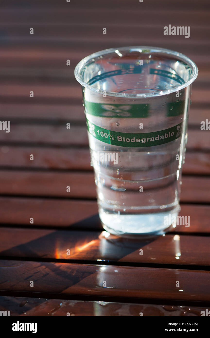 Biodegradable, Compostable plastic free cup made from plant material ...