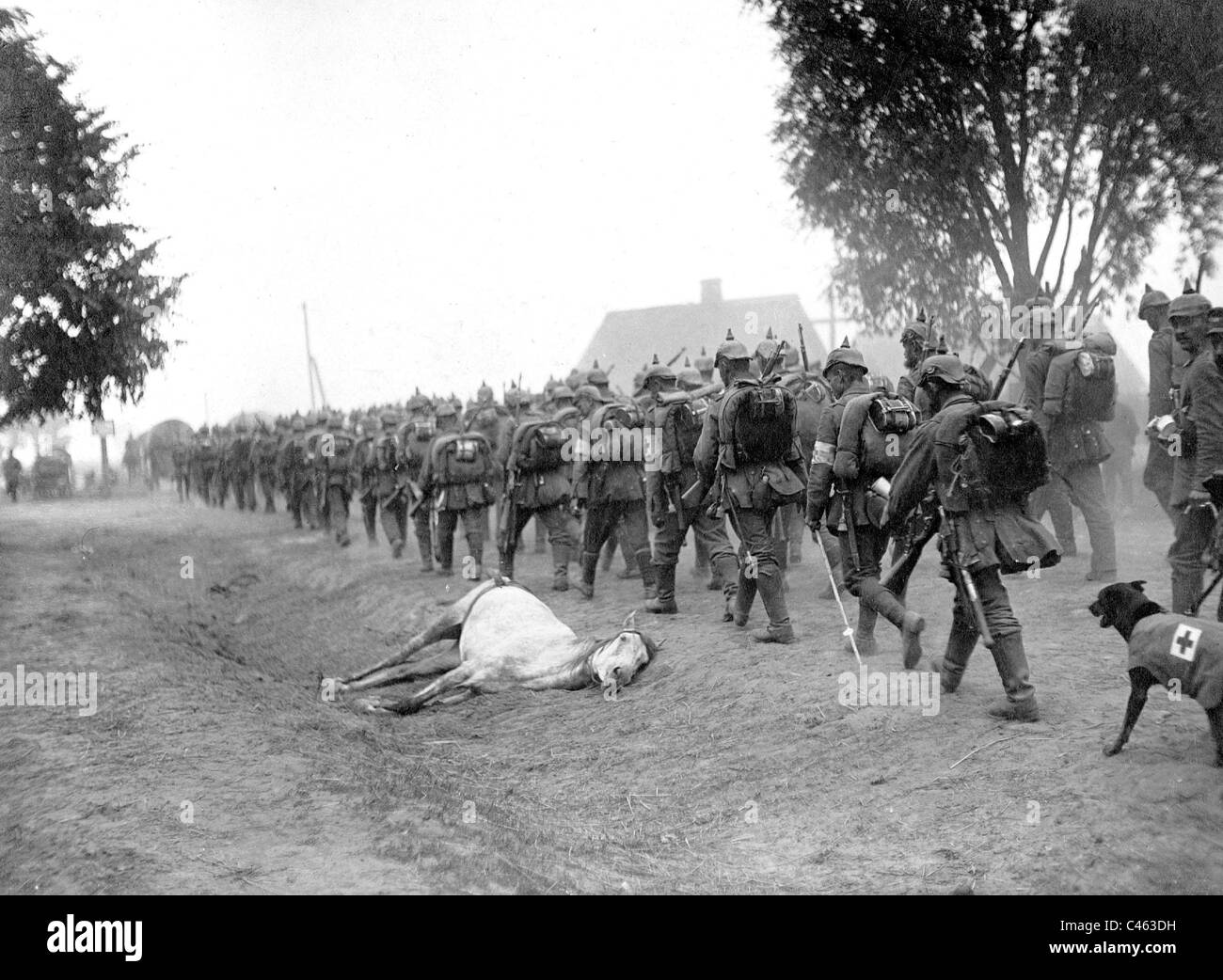 German soldiers march eastern front hi-res stock photography and images ...