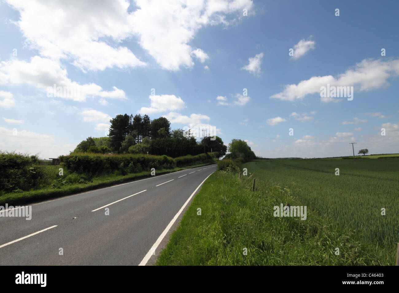 Country road with trees, Leeds Stock Photo - Alamy