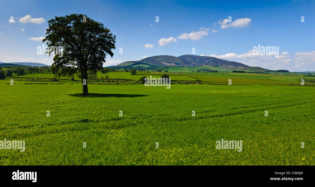 Thankerton hi-res stock photography and images - Alamy