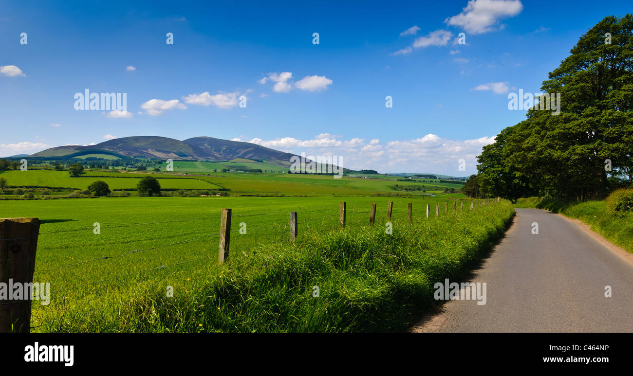 Thankerton hi-res stock photography and images - Alamy