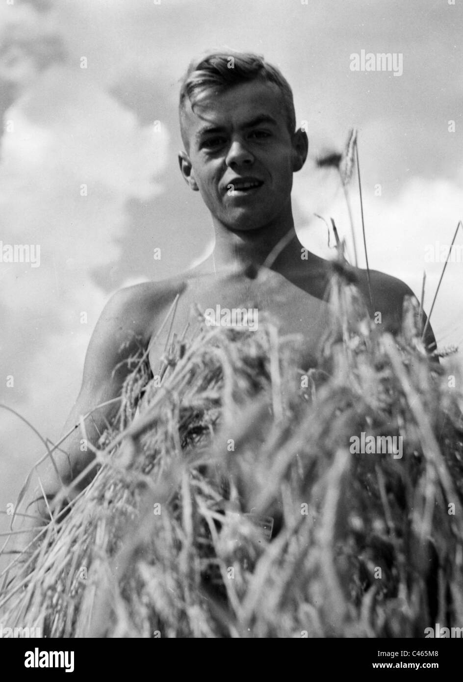 Nazi Germany, Blood and Soil: Agriculture, 1933-1945 Stock Photo - Alamy