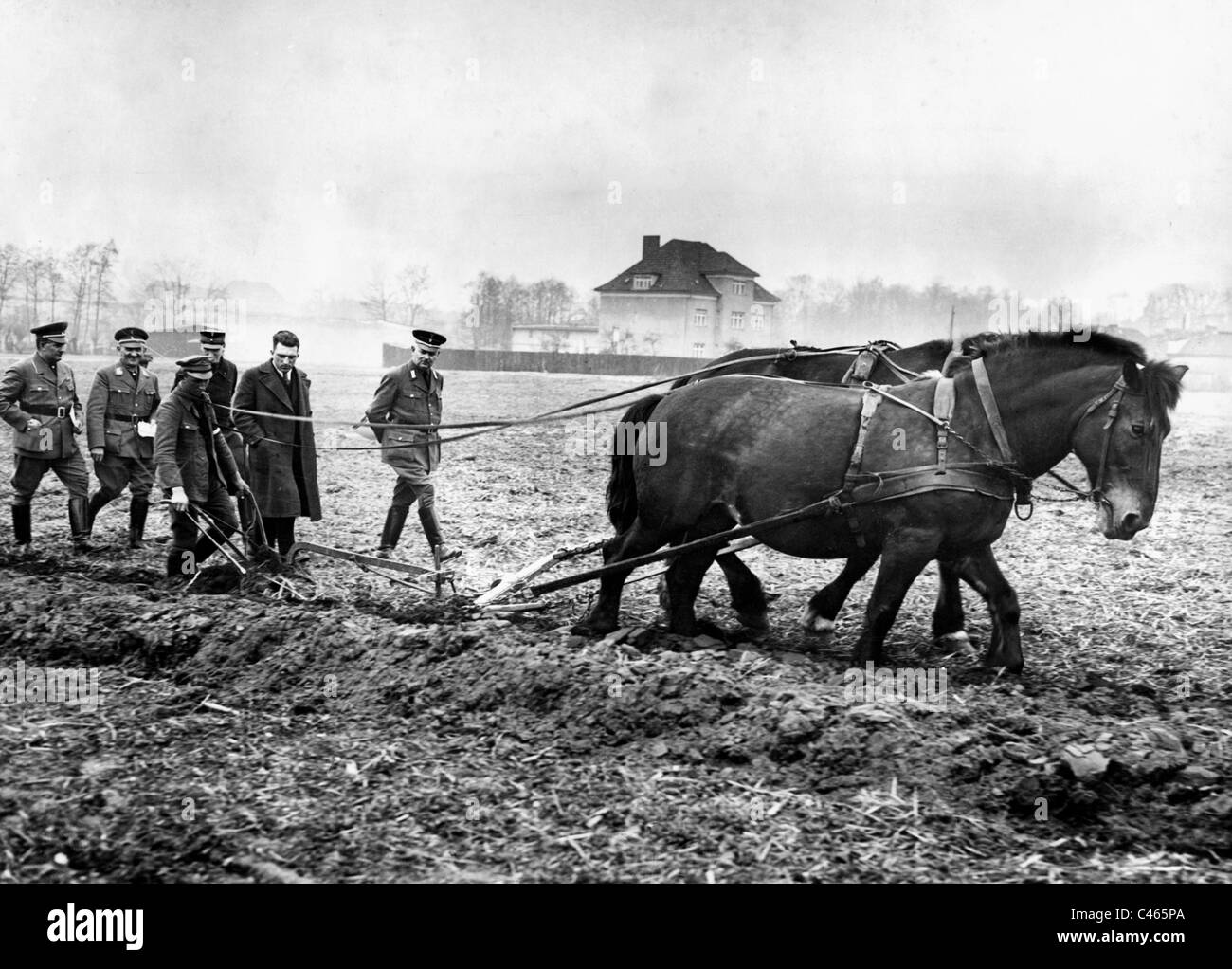Nazi Germany, Blood and Soil: Agriculture, 1933-1945 Stock Photo ...