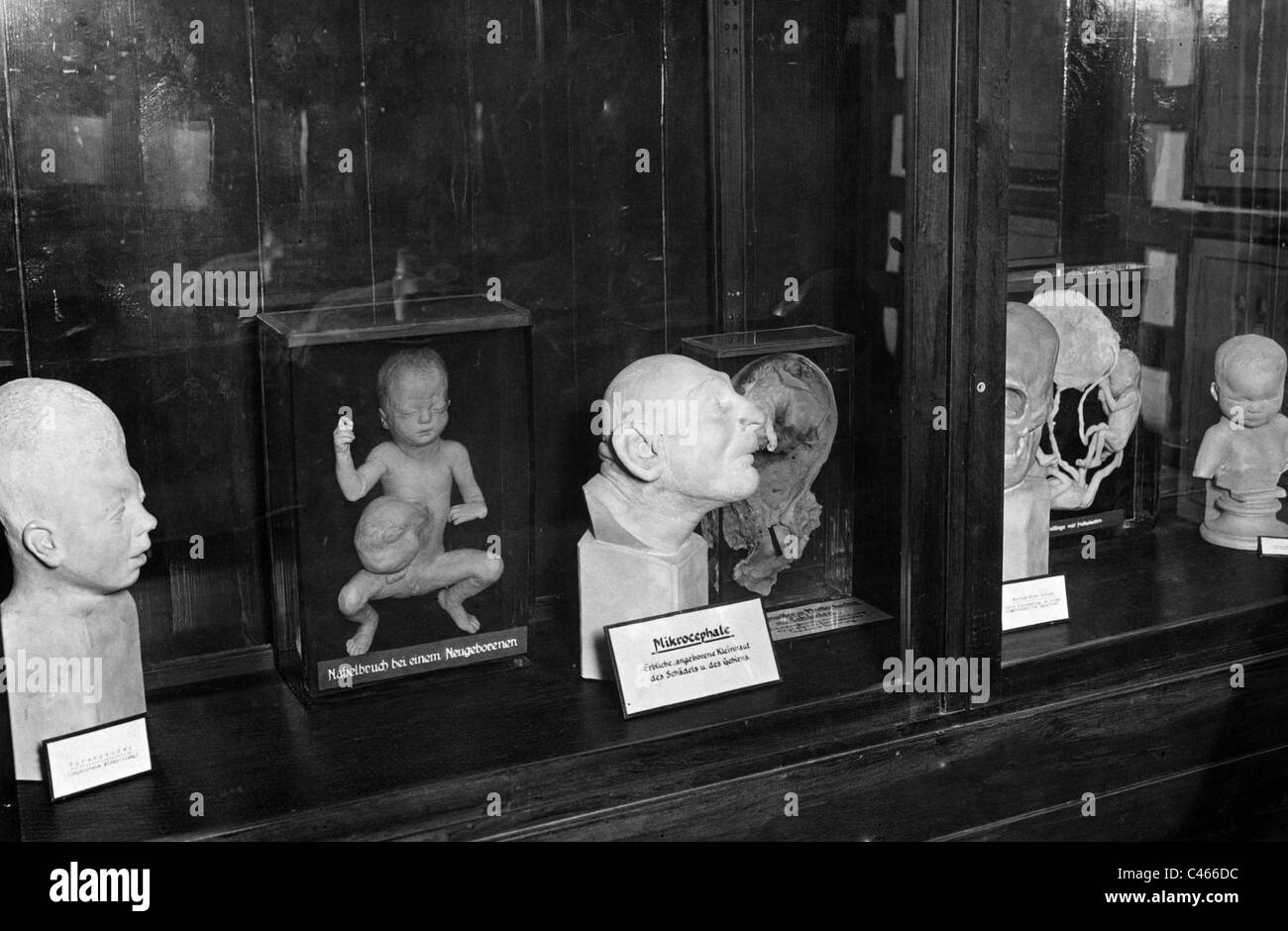 Aryanisation hi-res stock photography and images - Alamy