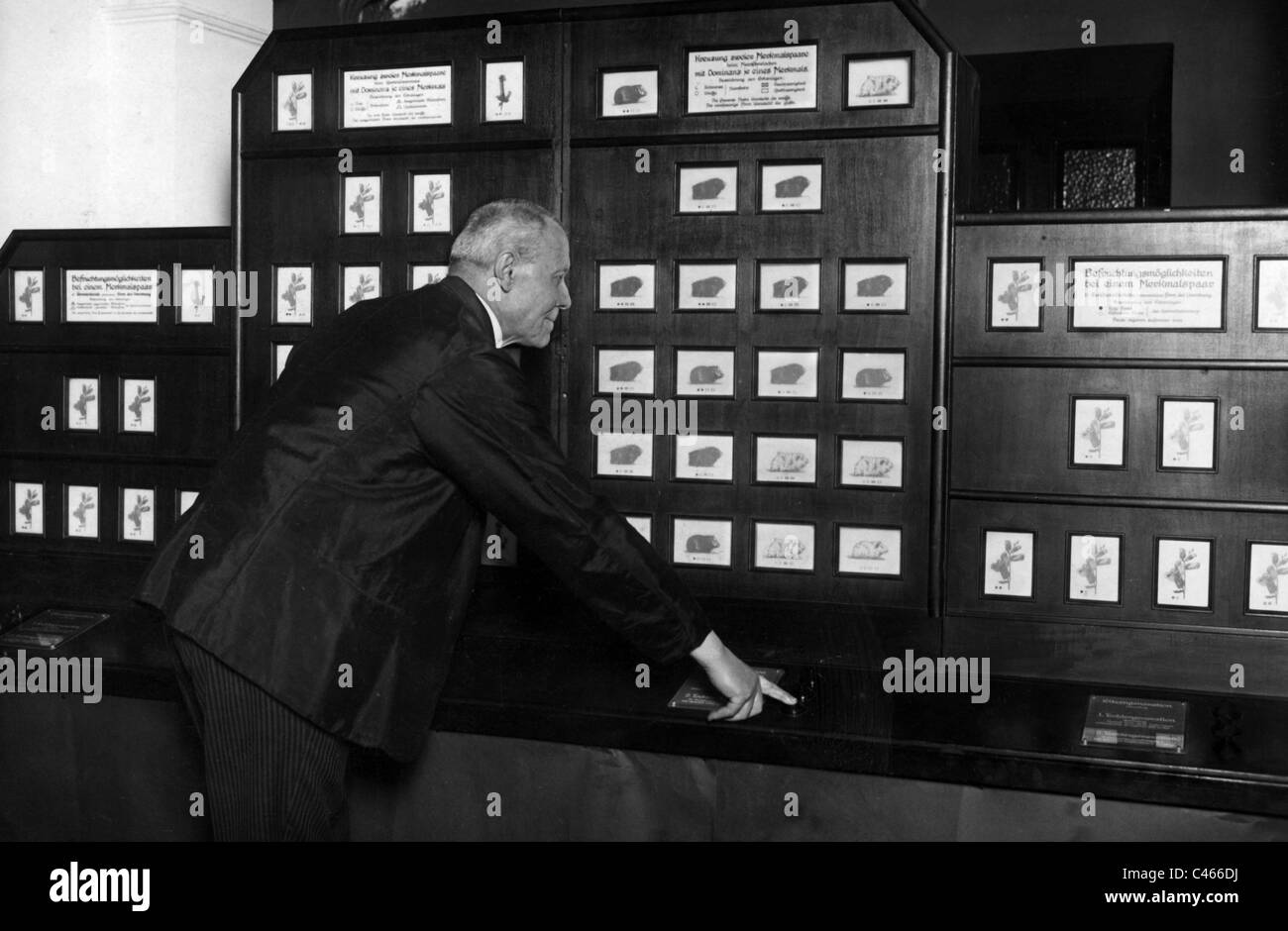 Aryanisation Stock Photos & Aryanisation Stock Images - Alamy