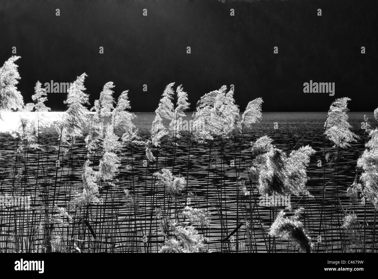 Summer alps mountain rock Black and White Stock Photos & Images - Alamy