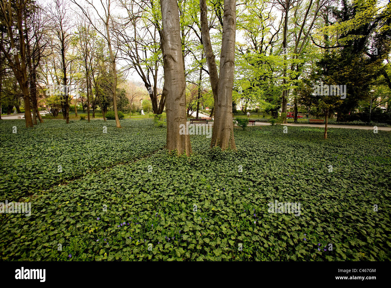 Plovdiv local hi-res stock photography and images - Alamy