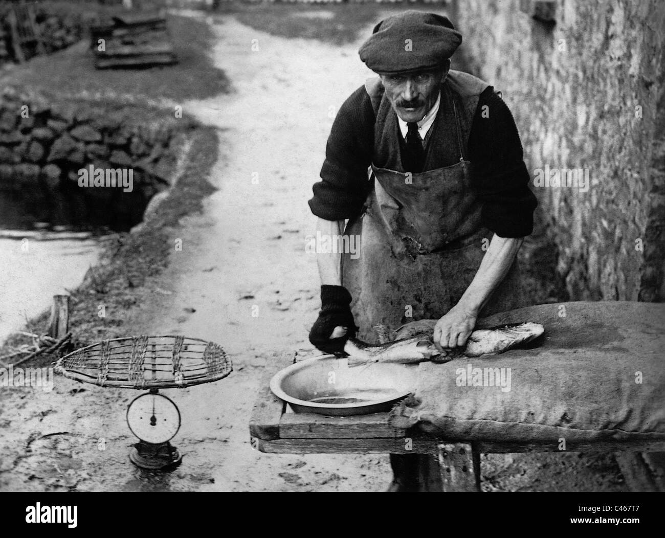 Salmon farm in Germany Stock Photo - Alamy
