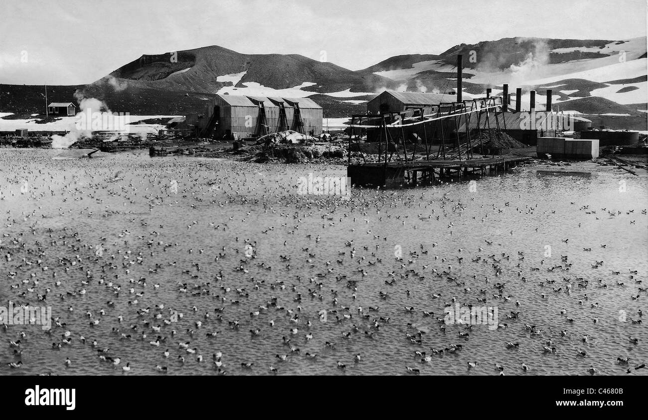 Port and whaling station on the Deception Island, 1929 Stock Photo - Alamy